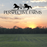 Contact Us – Perspective Farms